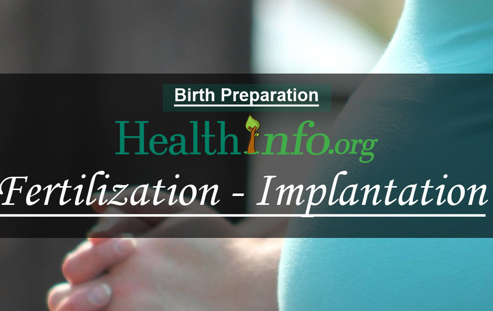 Fertilization And Implantation Symptoms